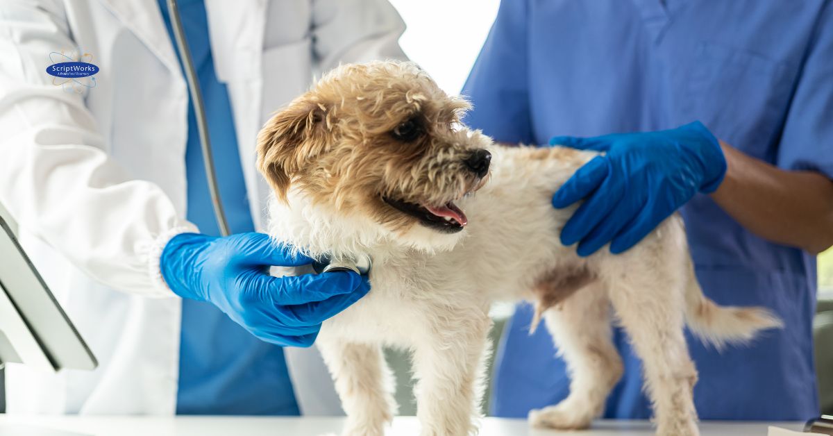 Animal Compounding Pharmacy: Collaborating with CA Veterinarians to ...